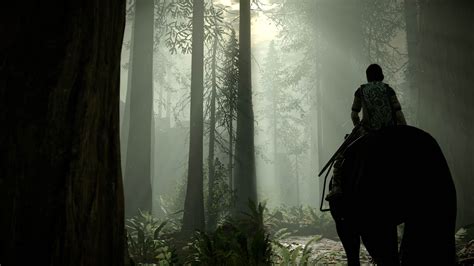 5 Best Lizards from Shadow of The Colossus – New Normative