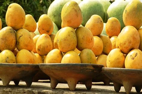Mango: Why this king of fruit can be the king of health - The Statesman