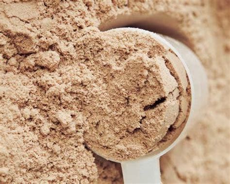 What is Whey | Garden of Life | Garden of Life