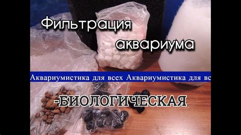 Фильтрация аквариума. Выпуск 3. Биологическая фильтрация. Часть 2 - YouTube