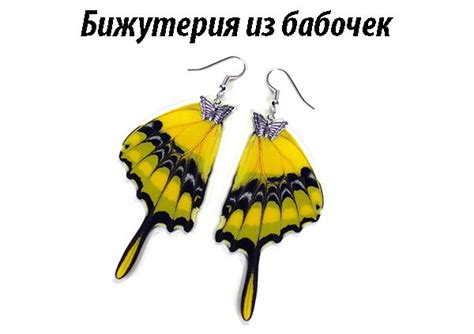 Живые бабочки в Киеве. Купить бабочку. Ферма бабочек-Бабочкарий — Живые ...