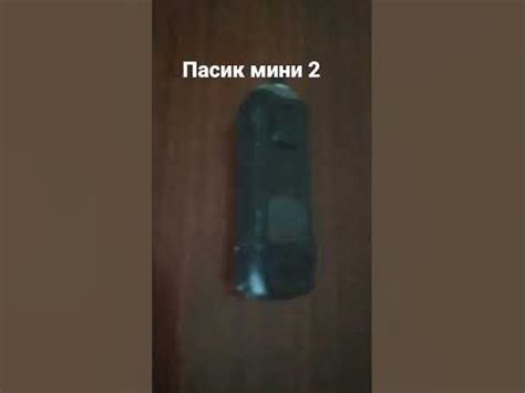 новый пасик 2 мини - YouTube