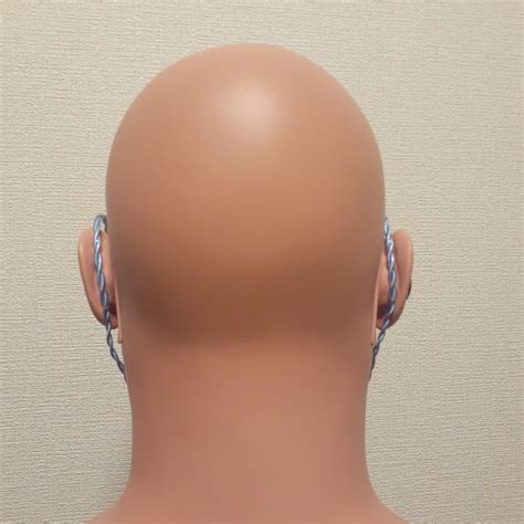 (Chi-fi IEM Review) TANGZU x HBB Wu Heyday Edition: Zetian Wu with ...