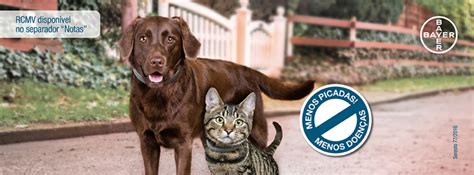 Seresto, da Bayer, também já tem Facebook - Veterinaria Atual