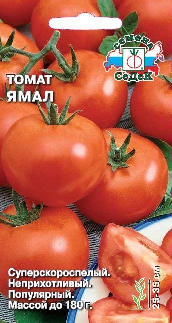 Семена: Томат Ямал - интернет-магазин СеДеК