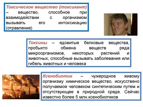 Основы токсикологии. (Лекция 1) - презентация онлайн