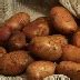 Картофель Тирас: описание и характеристики, особенности посадки и ...