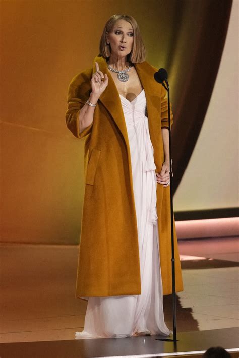 Celine Dion Coat Grammys 2024 - Binny Joline