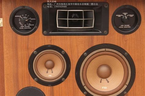 Купить Hi-Fi акустика Пионер пионер в CS-770 Королевский аристократ ...
