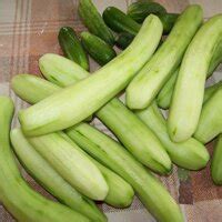 "Пальчики" из огурцов - Заготовки