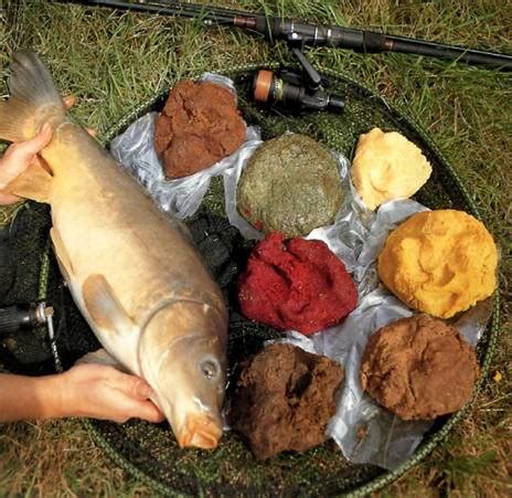 Приманка для карпа — тонкости и хитрости. Carpboat - лодки для прикорма.