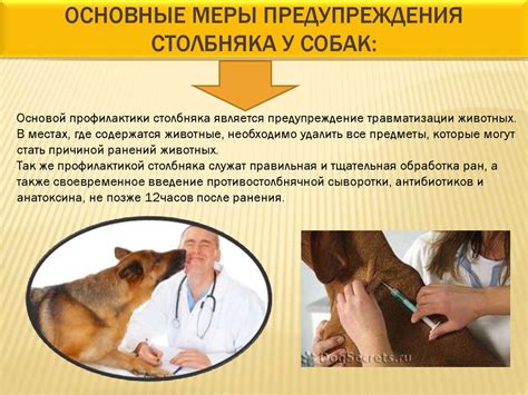 Столбняк у собак - презентация онлайн