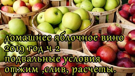 домашнее яблочное вино в подвальных условиях2019 ч2 - YouTube