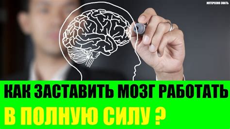 Как заставить мозг работать в полную силу? - YouTube