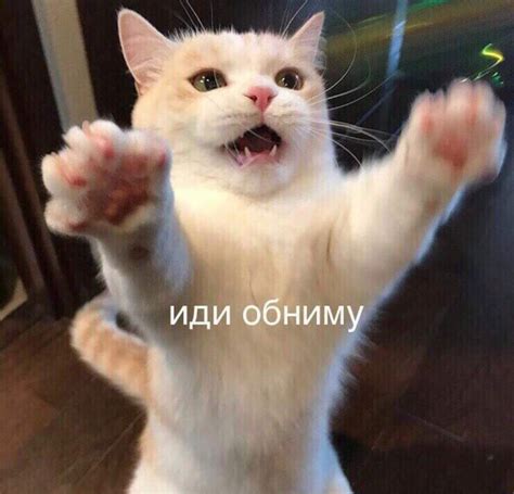Иди обниму прикольные картинки (55 фото) - 55 фото