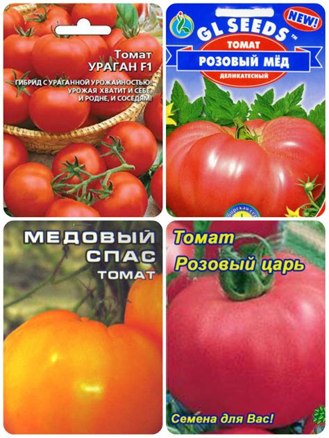 Семена помидоров для теплицы самоопыляемые: описание лучших сортов с фото