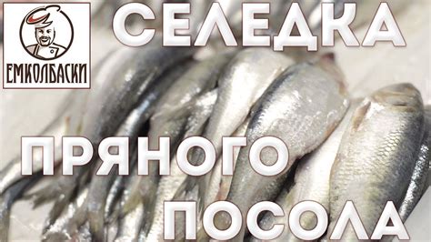 Сельдь пряного посола. Рецептура для рассола. Отделение филе от костей ...