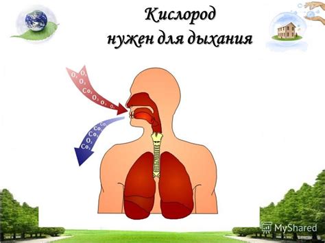 Презентация на тему: "Воздух, которым мы дышим Работу выполнил ученик 2 ...