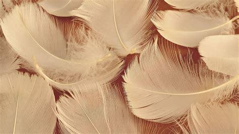 Aesthetic Cream Wallpapers - Wallpaper Cave