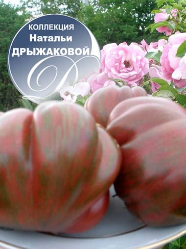 Томат Amur Tiger Pink (Амурский Тигр розовый)