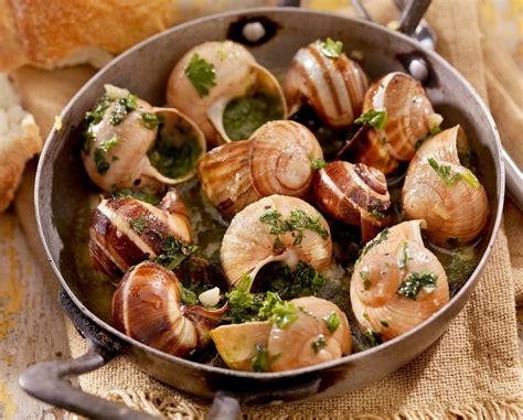 Escargot | Description, Snail Types, Dangers, & Serving and Cooking ...