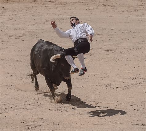 «torero» HD Wallpapers