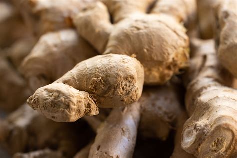 Difference between Young Ginger and Old Ginger - GINGER THAI