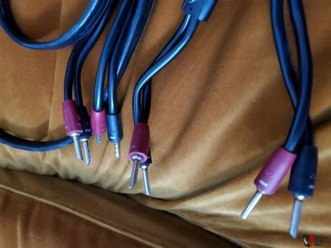 Audioquest rocket 11 speaker cables Photo #4810201 - US Audio Mart