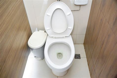 Western (Sit) vs. Squat Toilets: What Are the Differences? - Bathroom World