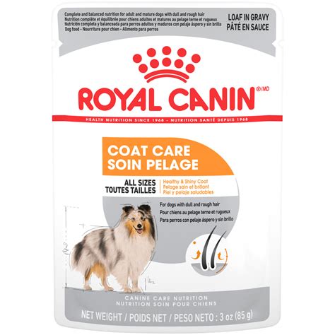 Hypoallergenic dog food | Royal Canin