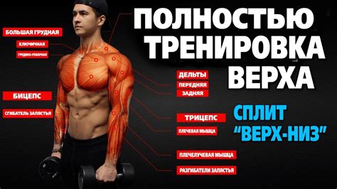 Тренировка ВЕРХНЕЙ части тела. СПЛИТ "Верх-Низ". Упражнения на ГРУДЬ ...