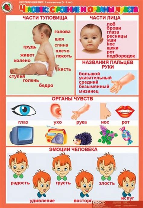 Обучающие карточки для детей с 3 до 6 лет | Дошкольные учебные ...