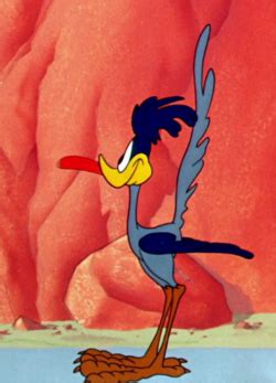 Road runner gallery – Artofit