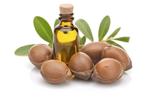 Argan seeds isolated on a white banner background. Argan oil nuts with ...