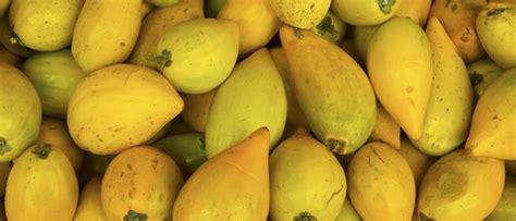 Lucuma – EatMoveFeel