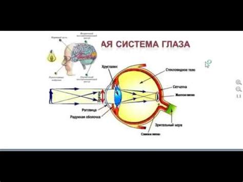 ЭРАКОНД И ЗРЕНИЕ! - YouTube