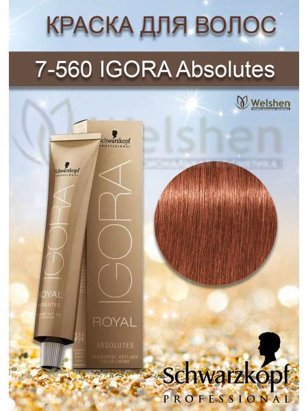 7-560 Средне русый золотистый шоколадный натуральный IGORA Absolutes ...