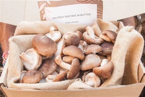Fresh organic shiitake de True Shiitake, République Tchèque ...