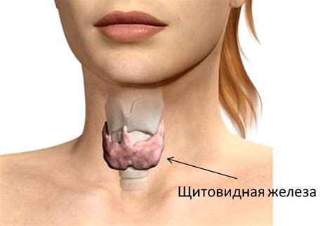 Периферическая нейропатия при заболеваниях щитовидной железы: dok_zlo ...