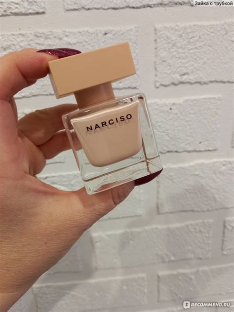 Narciso Rodriguez Poudrée - «Нарциссо Родригез, совсем не та пудра ...