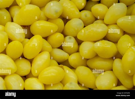 Ginko nuss -Fotos und -Bildmaterial in hoher Auflösung – Alamy