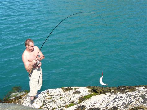 Angel Shop Angeln Angler Zubehoer - preiswerte Angebote