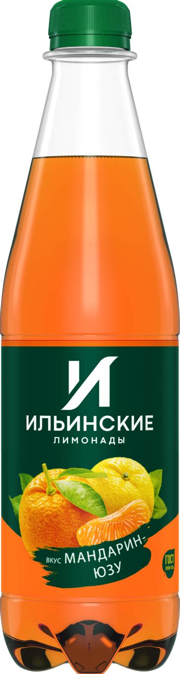 Ильинские лимонады