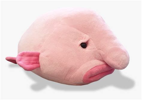 Рыба Капля Игрушка, HD Png Download - kindpng