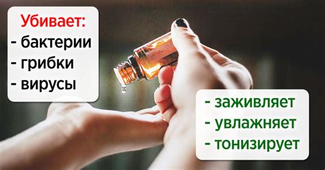 Антибактериальные и противовирусные эфирные масла: эффективная защита ...