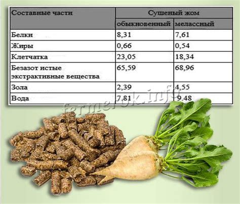 Жом свекловичный: что это, гранулированный, сухой, как хранить