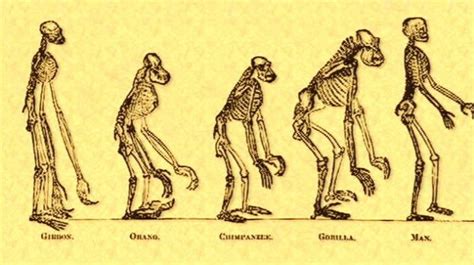 Evolution and Science Curriculum Debates in Serbia - Public Orthodoxy