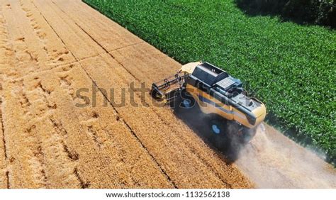 13 Wheat Gield Images, Stock Photos, 3D objects, & Vectors | Shutterstock