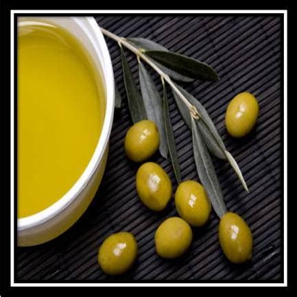 Islamic Medicine - Traditional Medicine & Natural Treatment