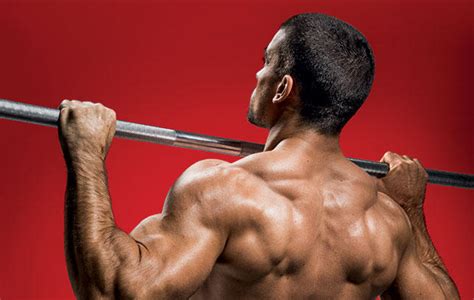 Guia da barra fixa: como utilizar este exercício em seus treinos
